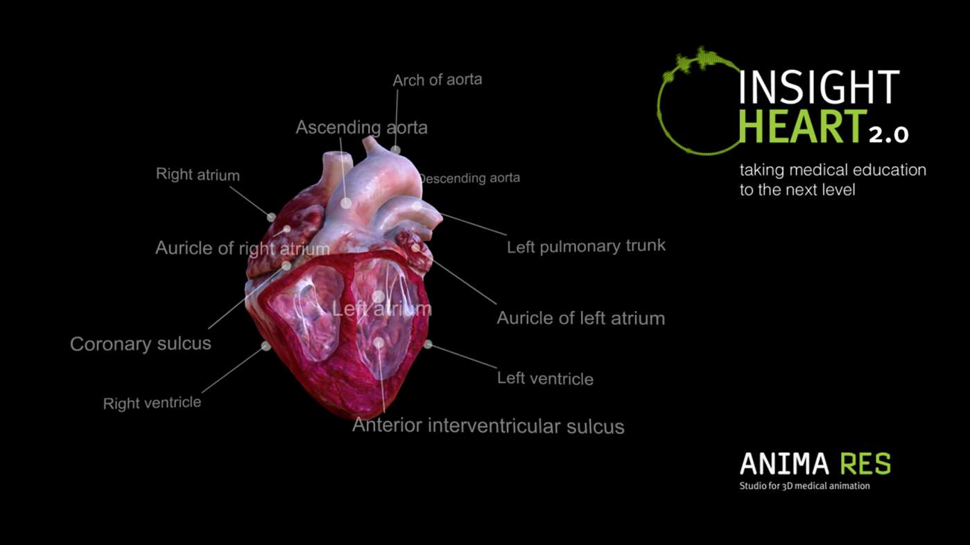 INSIGHT HEART educates through an AR expedition inside the heart ...