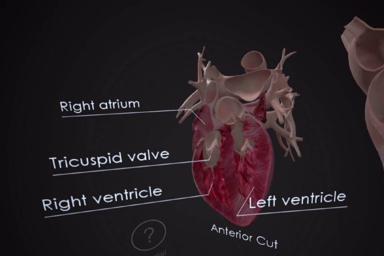 BodyMap creates the ‘Google Map’ of the human body – healthiAR+VR+MR+XR